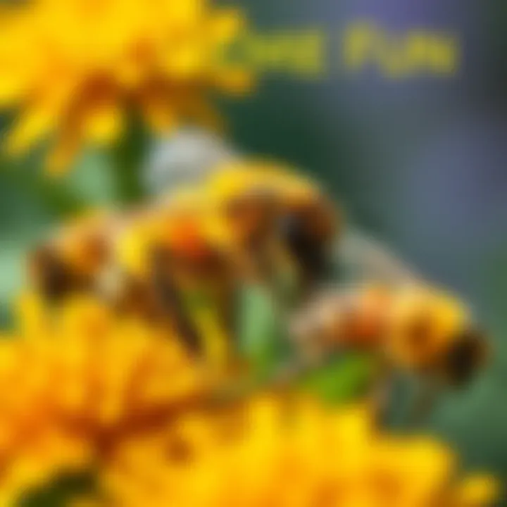 Buzzing with Laughter: The Bee Craze Hits Social Media : LevelUpTalk