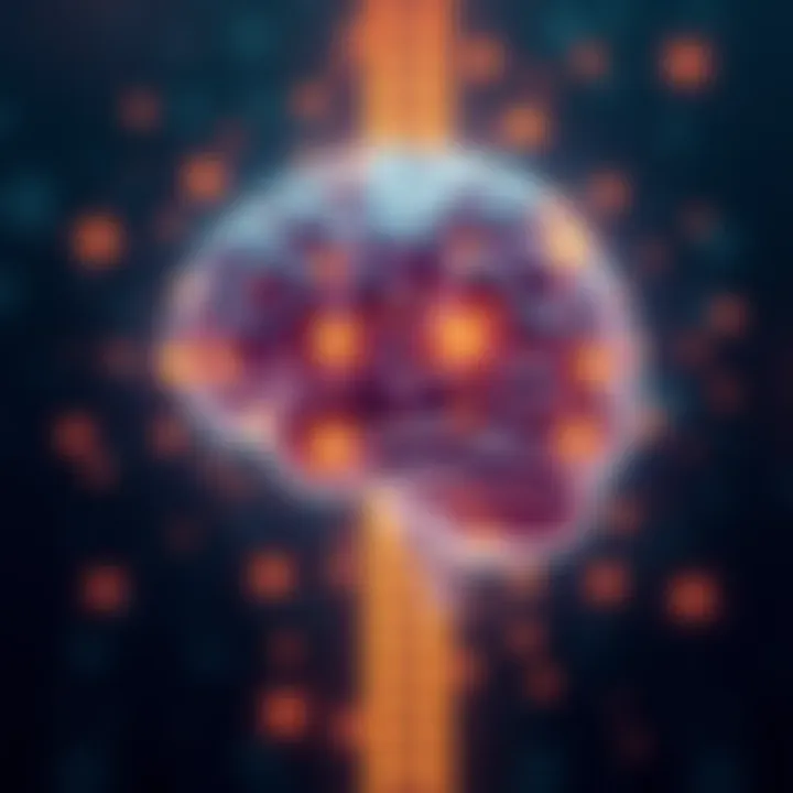 Unlocking The Secrets Of Brain Pattern Recognition Leveluptalk