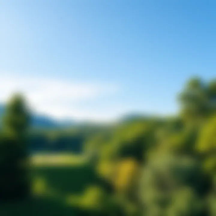 Exploring the Concept of Clean Infinity in Today's Society : LevelUpTalk