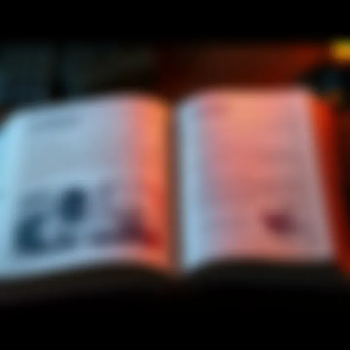 Exploring Collectors Edition Lore in Detail : LevelUpTalk