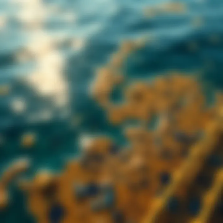 Examining the Sea Pollution Caused by Nuke Zeke : LevelUpTalk