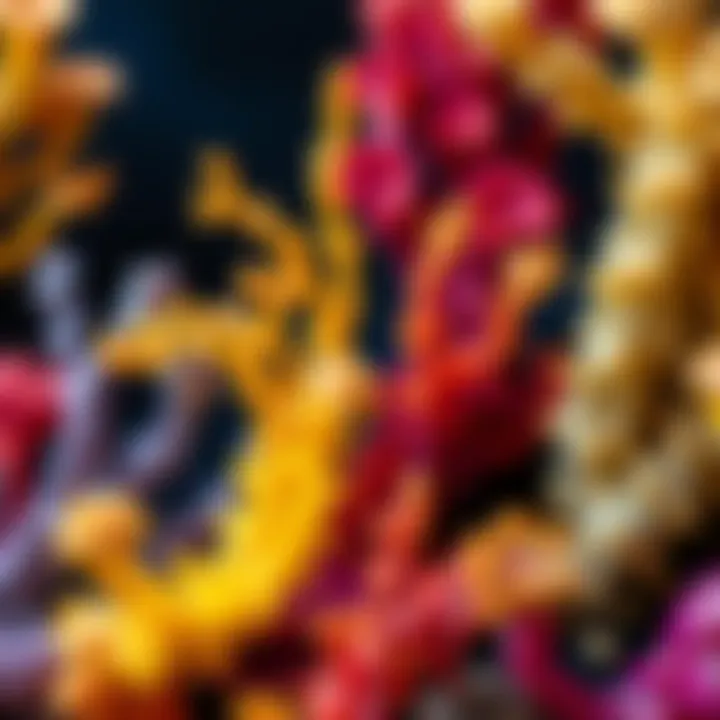 Exploring New Variants of Cordyceps: What’s Next? : LevelUpTalk