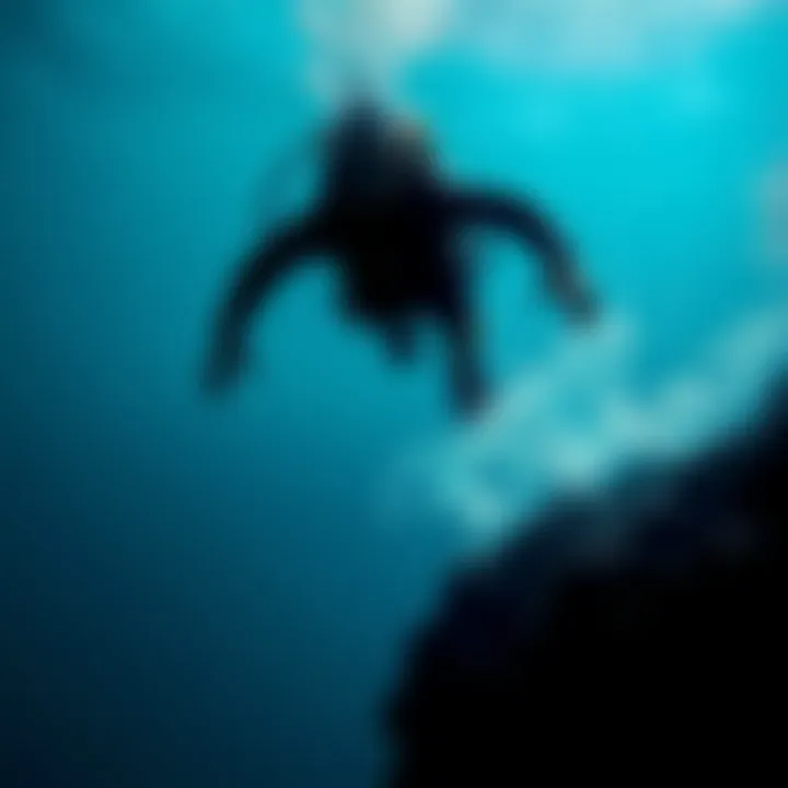 Exploring the Dangers of Diving Too Deep in Water Sports : LevelUpTalk