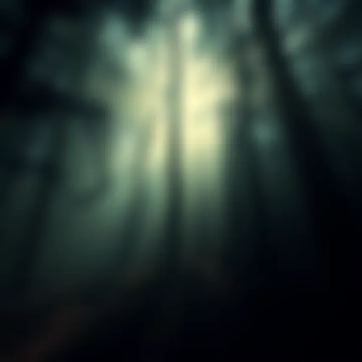 Imagining Darkwood as a First-Person POV Game Experience : LevelUpTalk