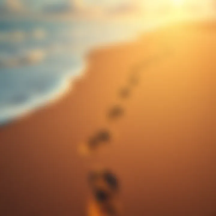 One Set of Footprints: A Deep Dive into Faith : LevelUpTalk