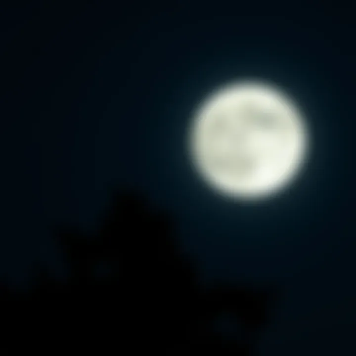 Giant Moon Sighting: A Stunning Night View : LevelUpTalk