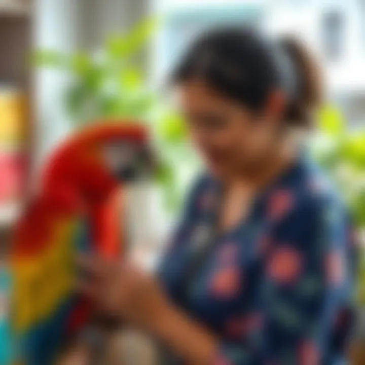 Meet the Macaw-Minded Mom Rescuing Birds at Home : LevelUpTalk