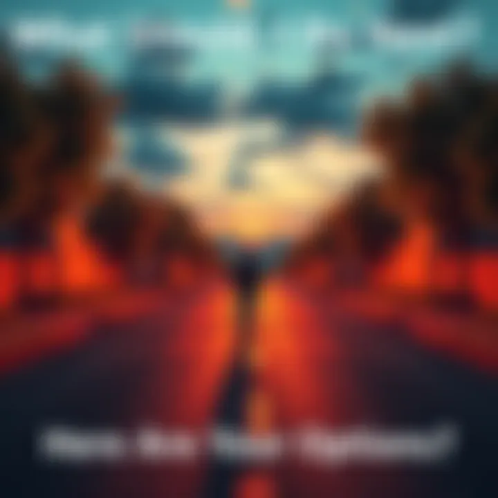 What Should I Do Next? Here Are Your Options : LevelUpTalk