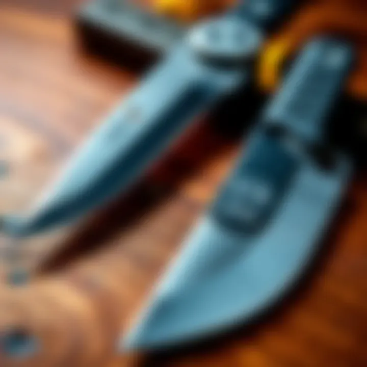 Are Tanto Knives Really Worth Their High Prices? : LevelUpTalk