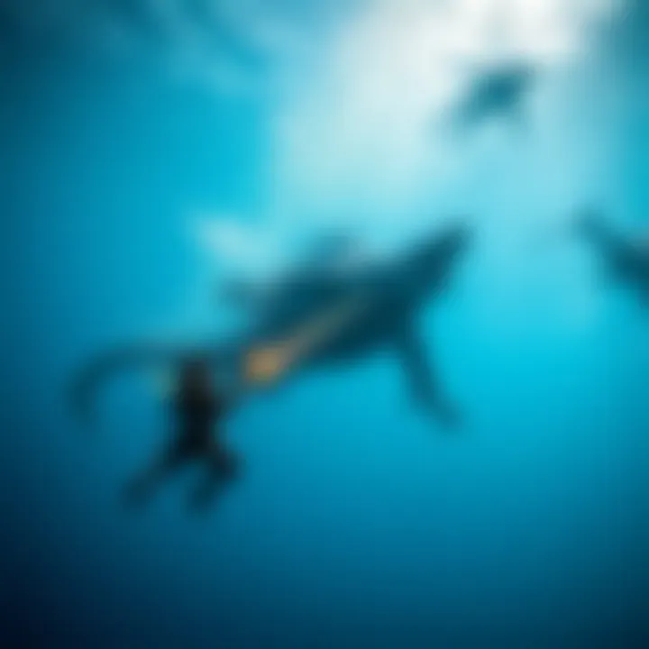 New Underwater Combat Feature in Monster Hunter Explained : LevelUpTalk