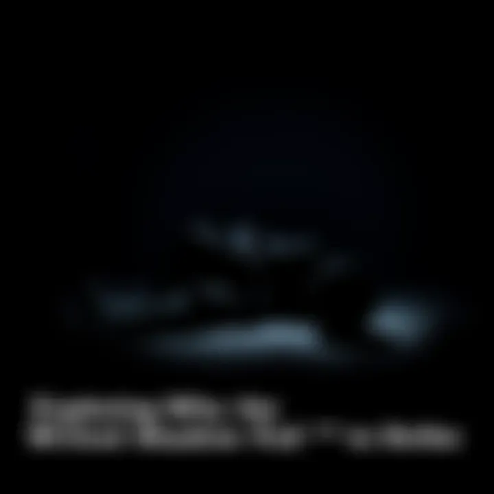 Exploring Why the Wilted Shadow Fails to Strike : LevelUpTalk